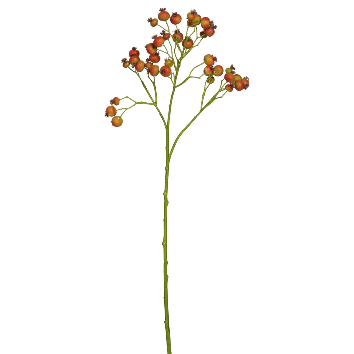 Rose Hip Stem in Orange – Viburnum Home