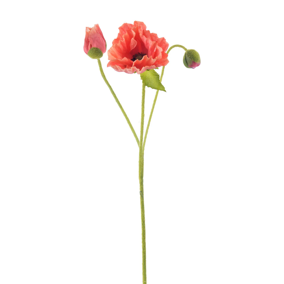 Poppy Stem in Crismon Red – Viburnum Home