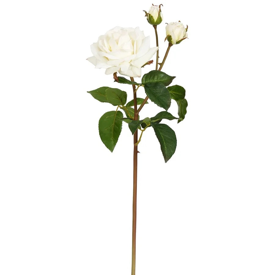Juliet Cream Rose Stem – Viburnum Home