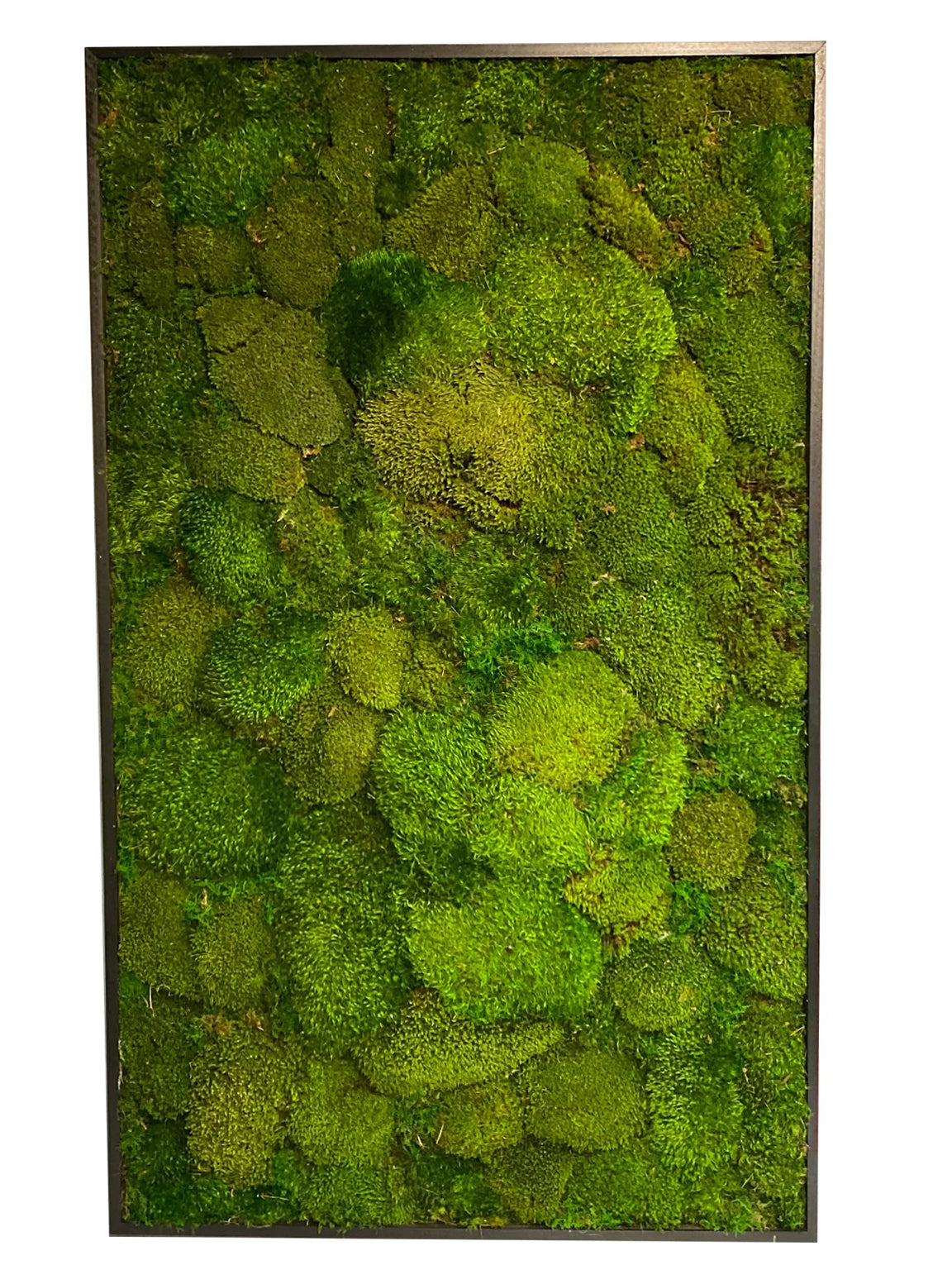 Large Moss Panel – Viburnum Home