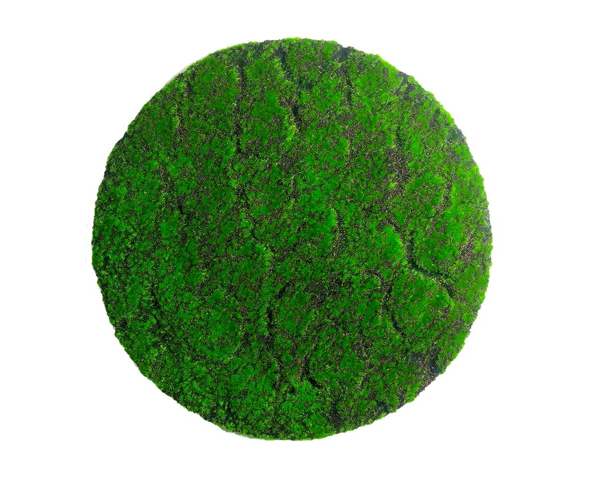Green Moss Disc – Viburnum Home