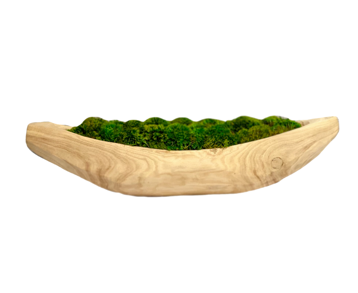 Fortune Preserved Moss Boat – Viburnum Home